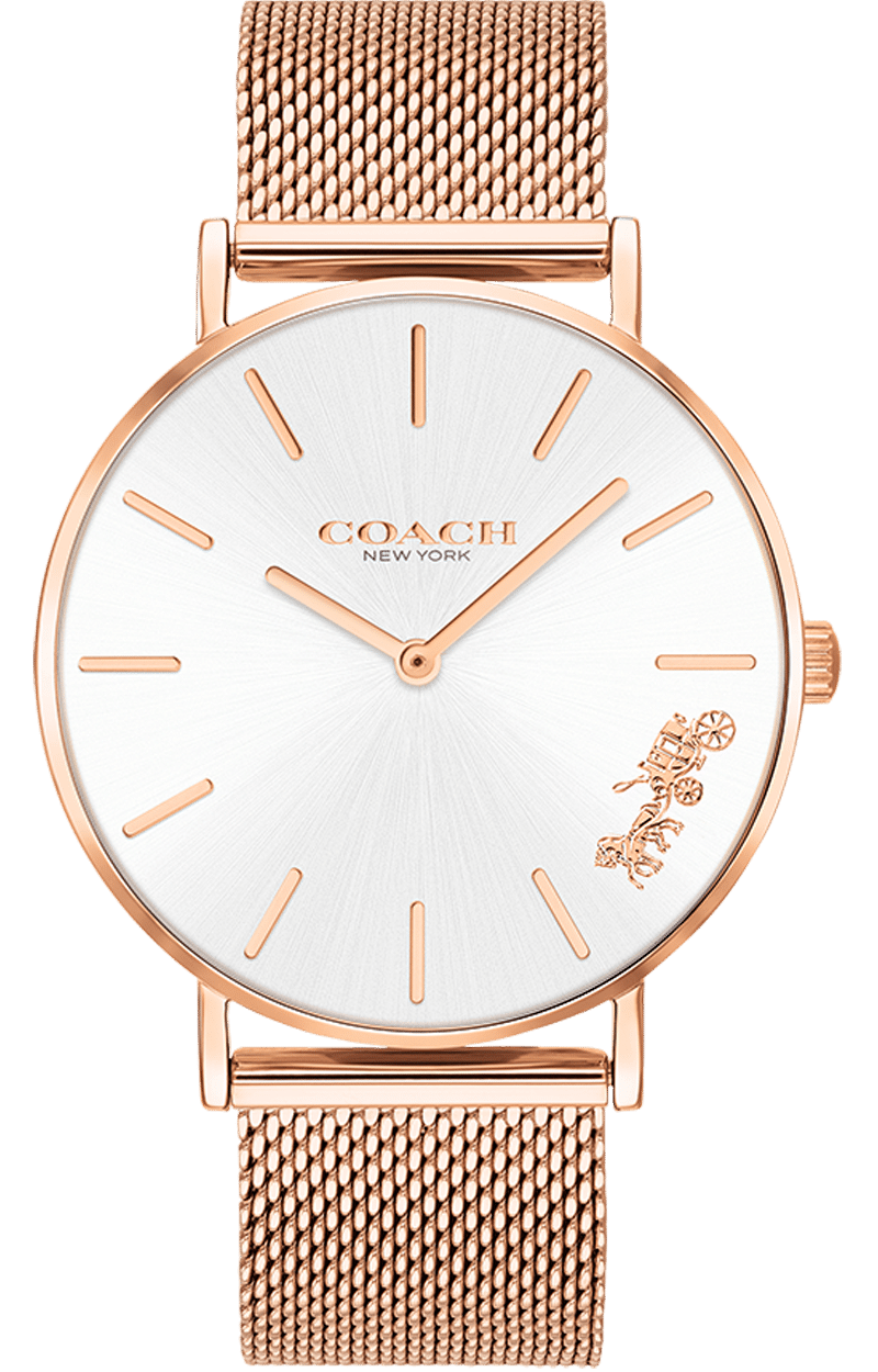 Stainless steel Mesh – Urban Time